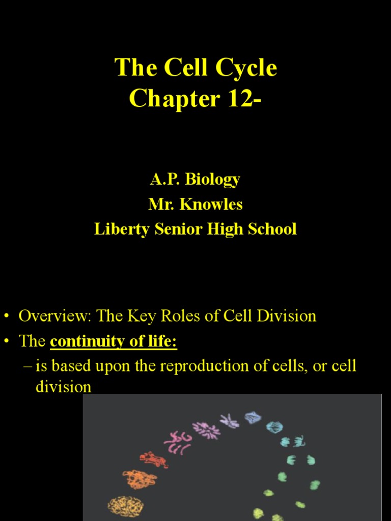 The Cell Cycle Chapter 12-: A.P. Biology Mr. Knowles Liberty Senior ...