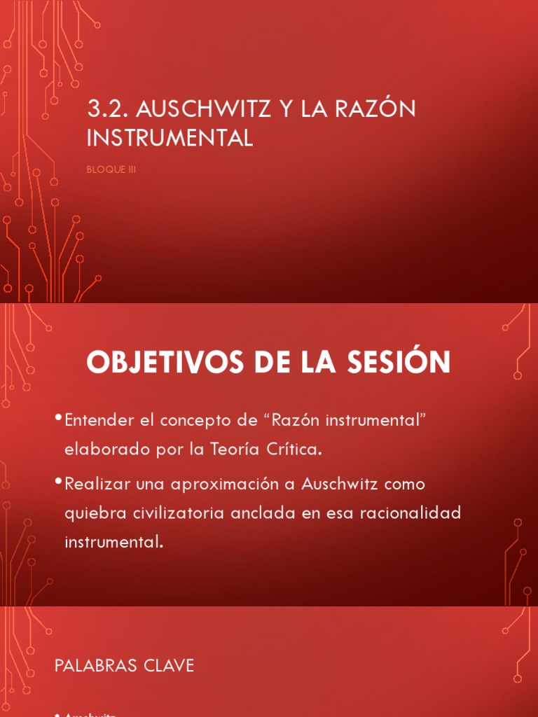 Razón Instrumental | PDF