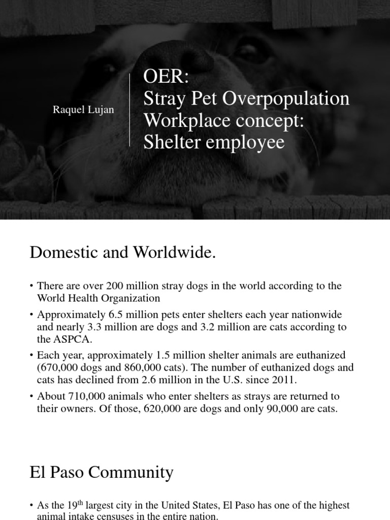 Stray Pet Overpopulation Solutions | PDF | Domesticated Animals ...