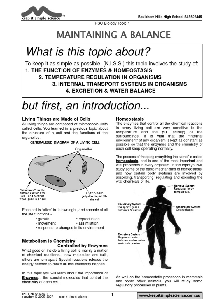 Bio5.Maintaining A Balance | PDF | Homeostasis | Enzyme