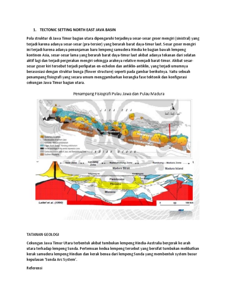 Tectonic Setting North East Java Basin | PDF