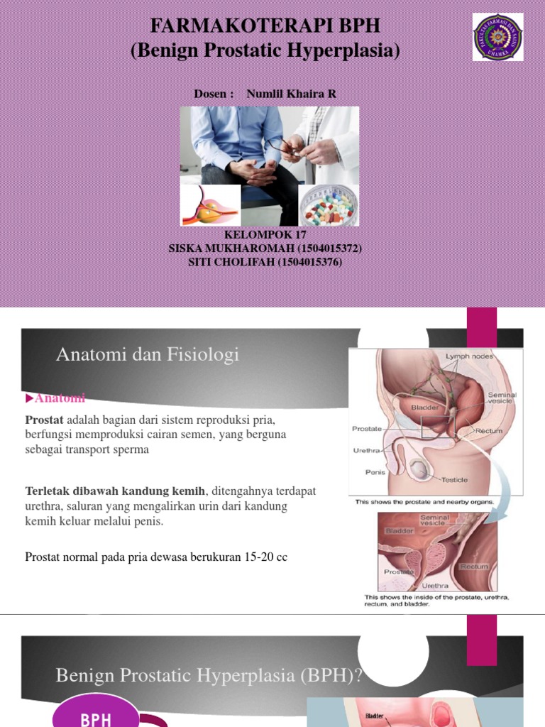 Farmakoterapi BPH Fix BGT | PDF