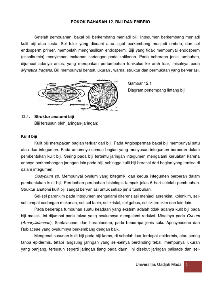 Biji Dan Embrio | PDF