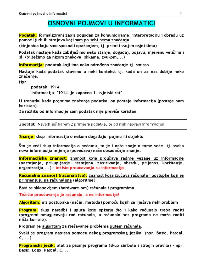 Osnovni Pojmovi U Informatici | PDF