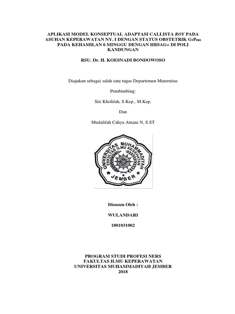 Pemeriksaan HBsAg Pada Ibu Hamil | PDF