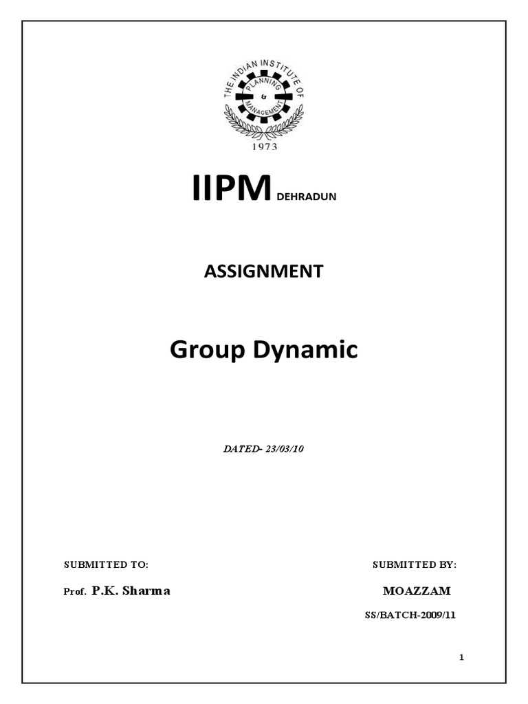 Group Dynamic: Assignment | Download Free PDF | Leadership | Human Nature