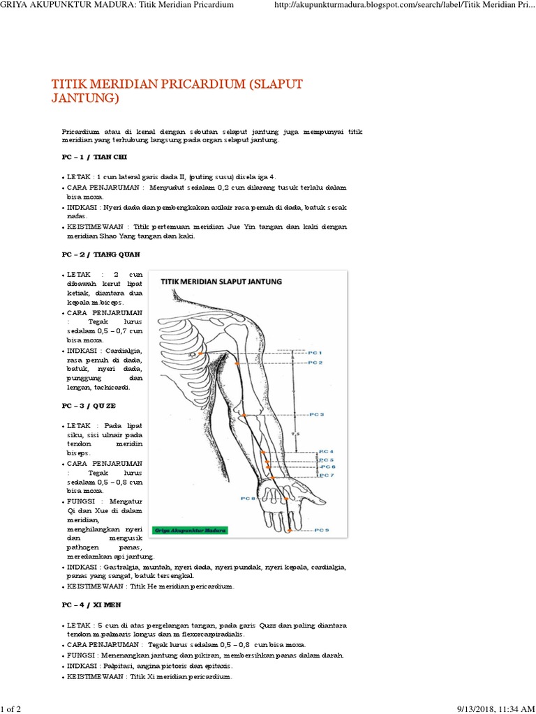 Titik Meridian Paru | PDF