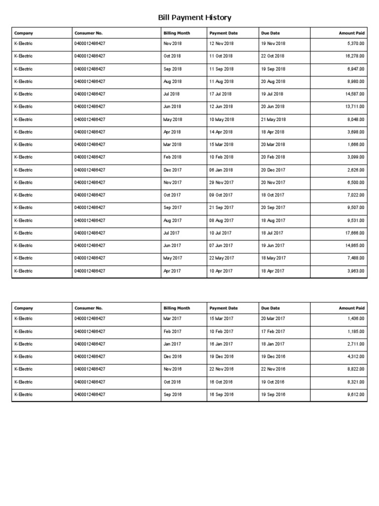Bill Payment History | PDF | Business