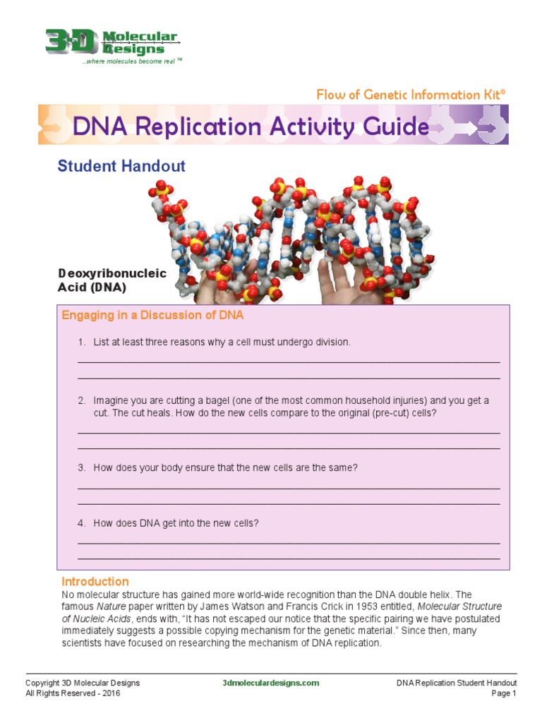 FGIKReplication Student Handout | PDF | Dna Replication ...