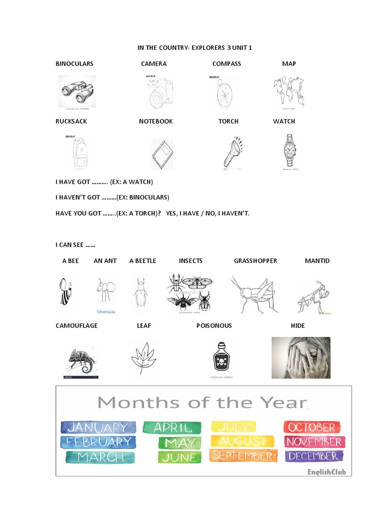 Young Explorers' Adventure Kit | PDF | Foreign Language Studies | Art