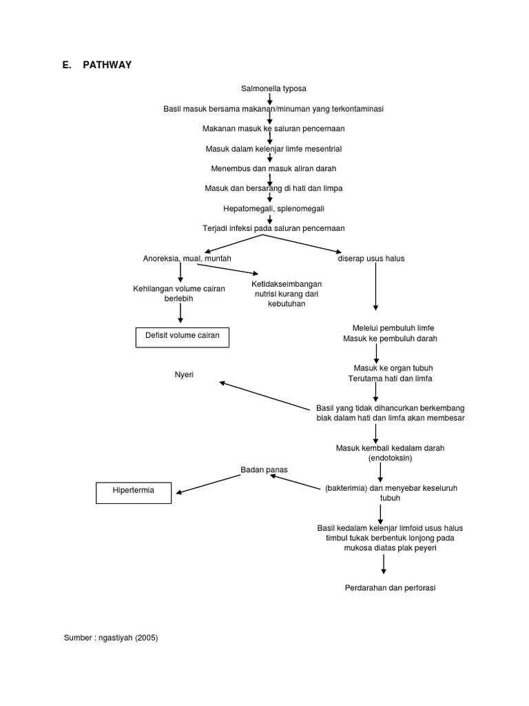 PATHWAY Typoid | PDF