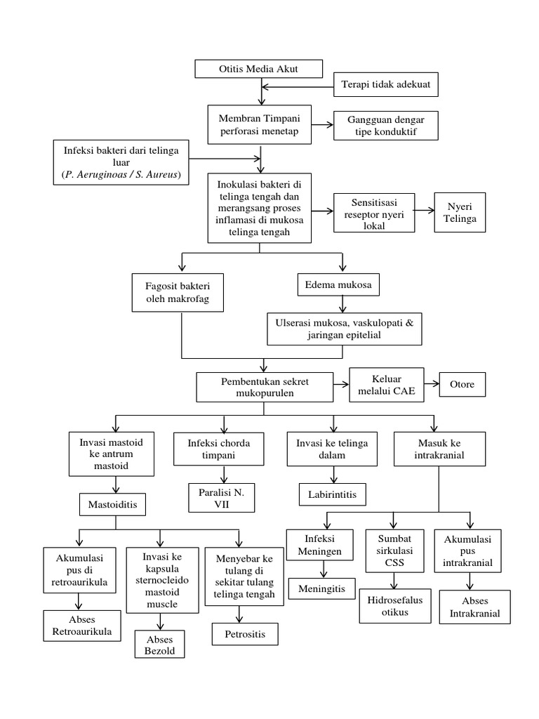 Pathway OMSK Word | PDF