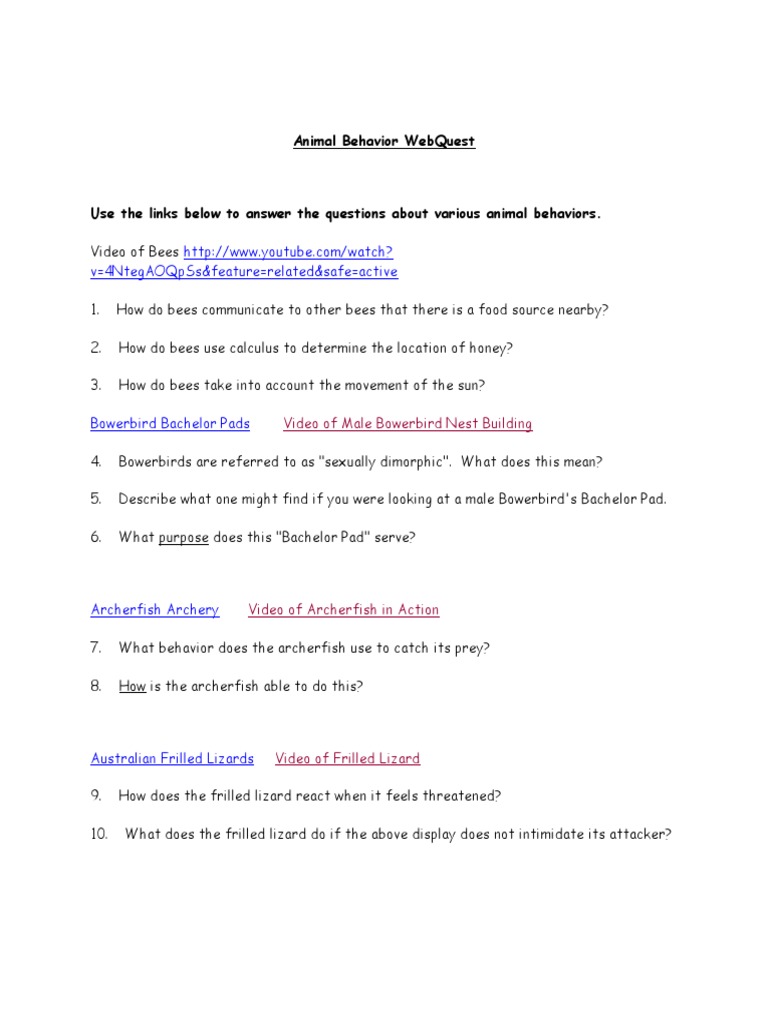 Animal Behavior Webquest | PDF | Science & Mathematics