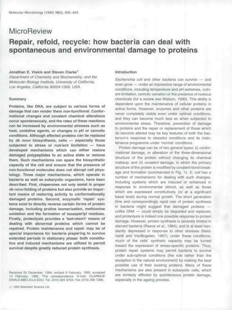 Visick Et Al-1995-Molecular Microbiology | PDF | Protein Folding ...