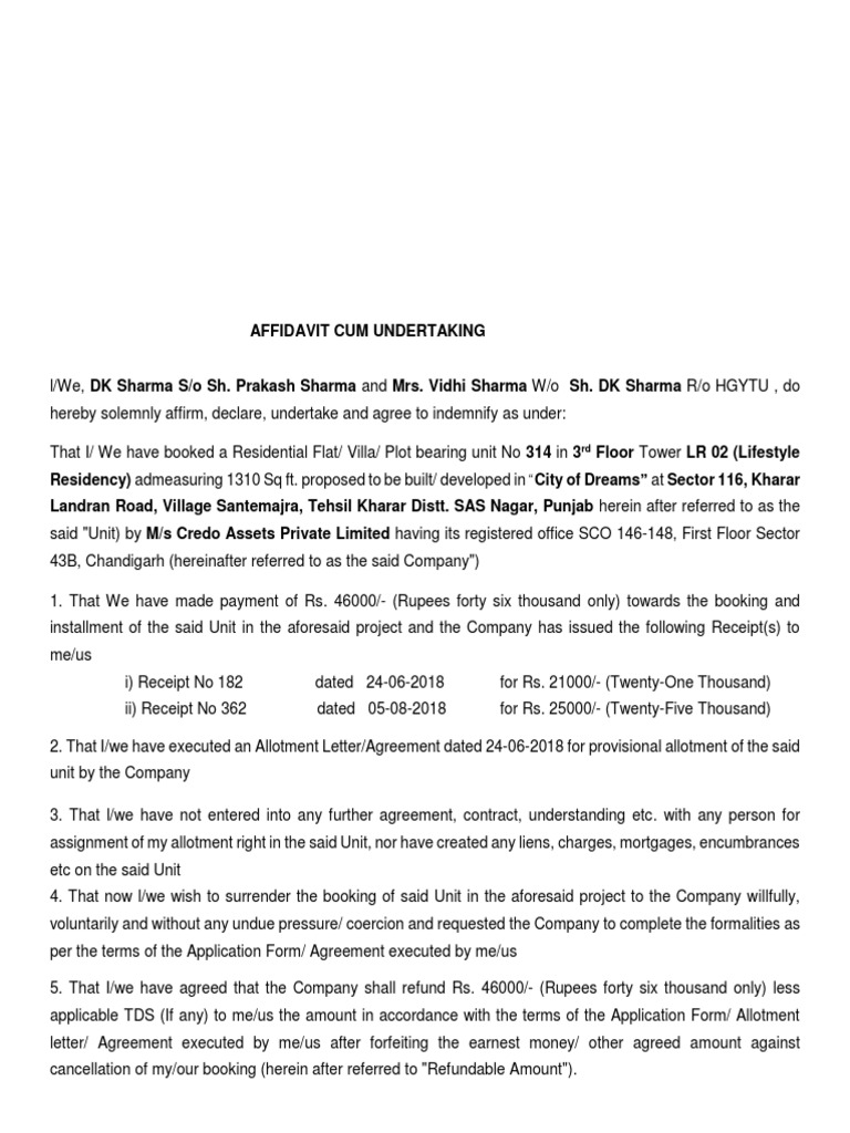 AFFIDAVIT CUM UNDERTAKING.docx | Indemnity | Common Law