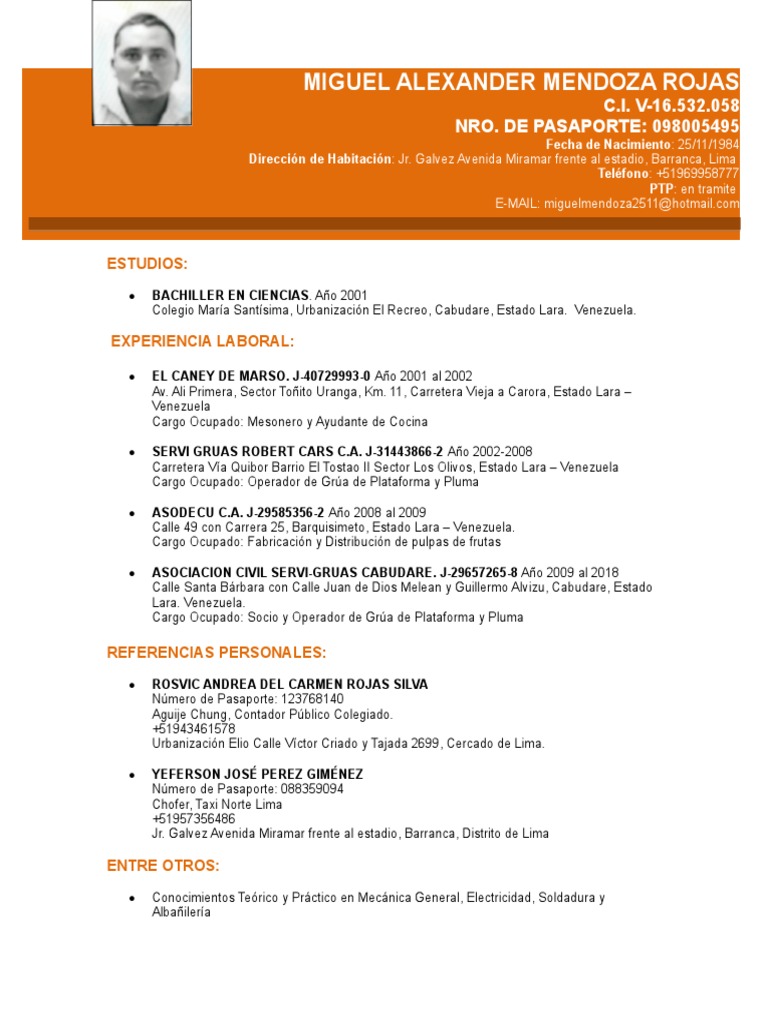 Curriculum Miguel.. | PDF