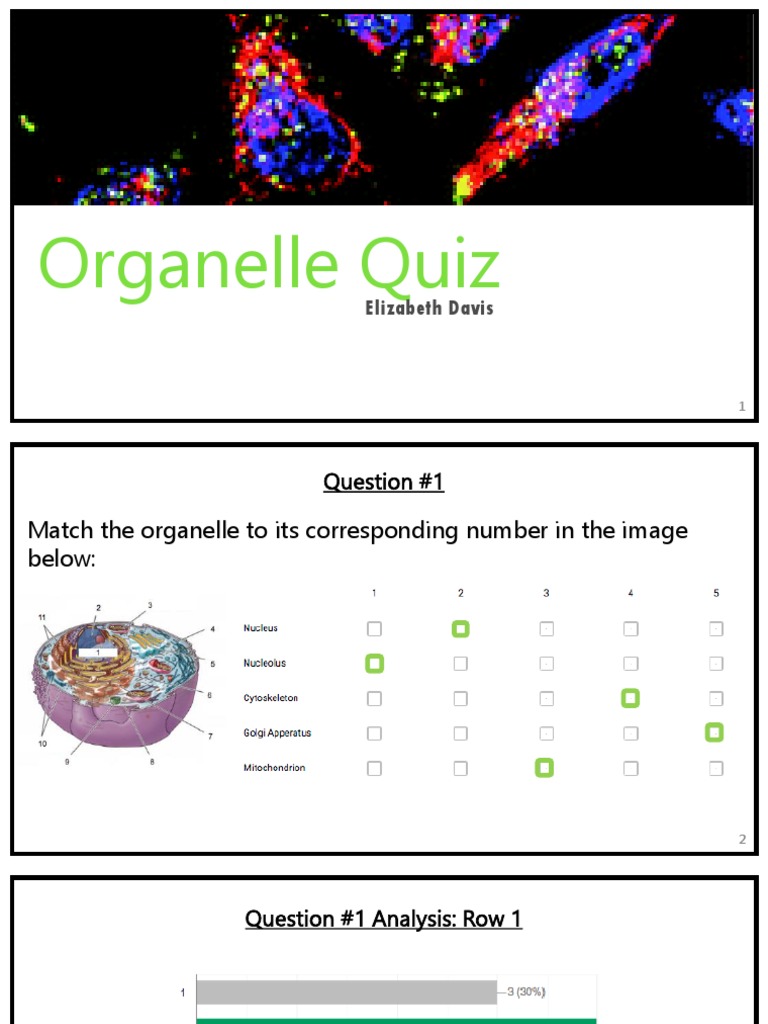 Organelle Identification Quiz | PDF | Cytoskeleton | Mitosis