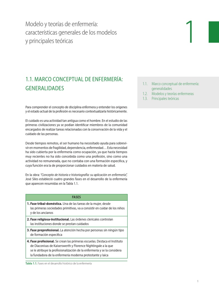 9788417470050 | PDF | Enfermería | Teoría