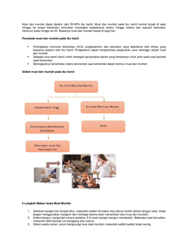 Mual Dan Muntah | PDF