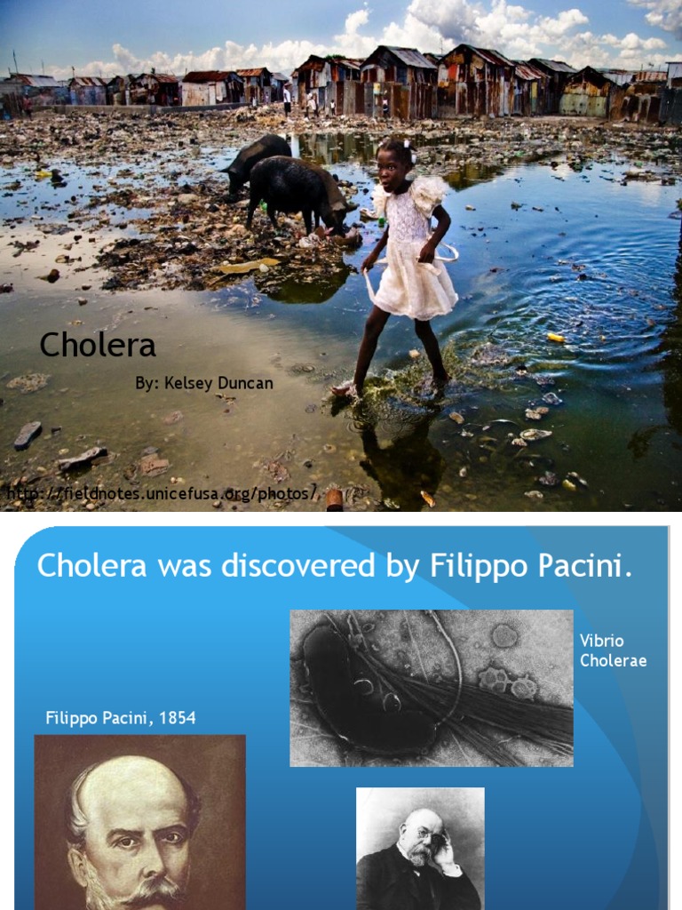 Cholera Presentation - Kelsey Duncan | PDF | Cholera | Medical Specialties