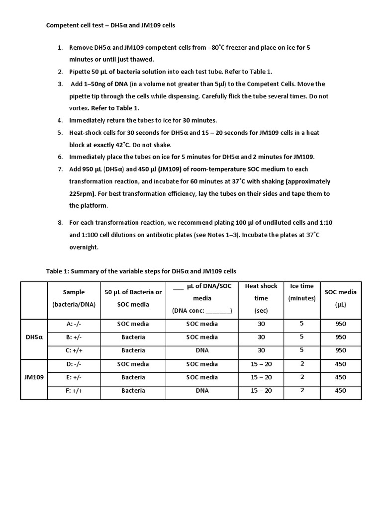 Comparing transformation efficiencies of DH5α and JM109 E. coli ...
