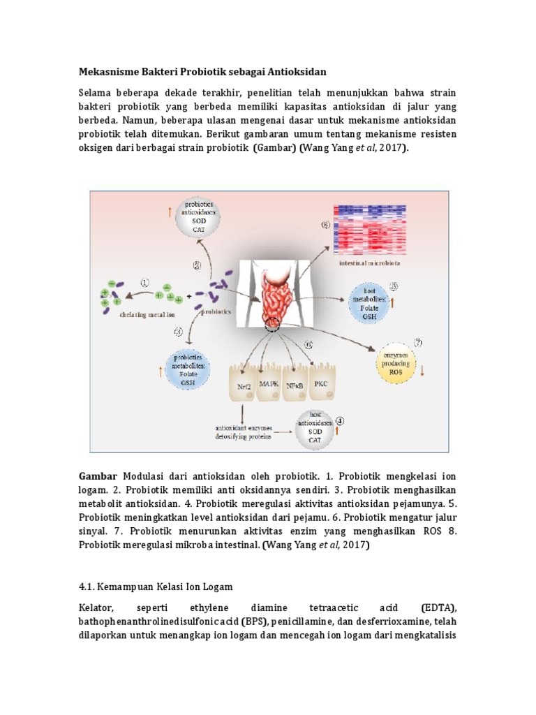 Mekanisme Antioksidan Probiotik Terungkap | PDF
