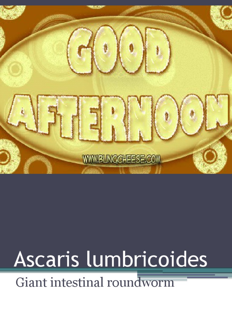 Ascaris Lumbricoides: Giant Intestinal Roundworm | PDF | Microbiology ...
