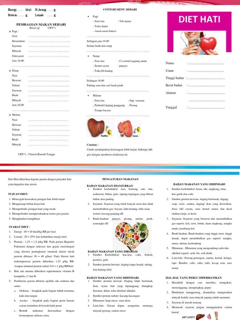 Diet Hati | PDF