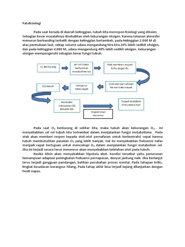 Patofisiologi Hipoksia | PDF