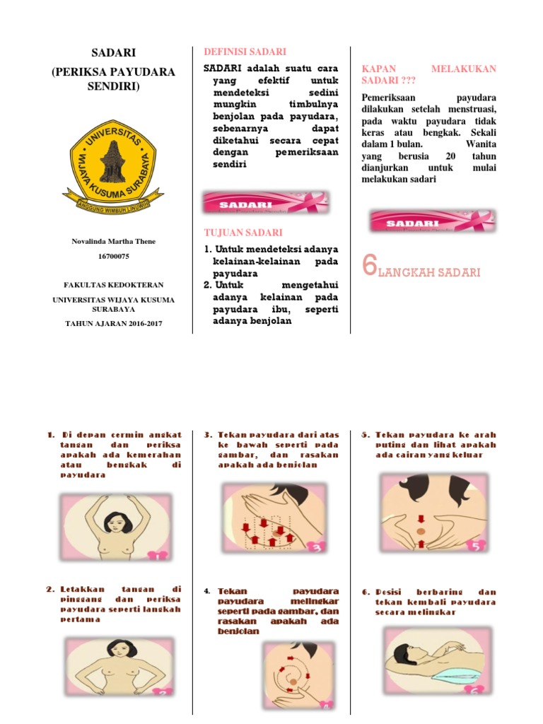 Leaflet SADARI | PDF