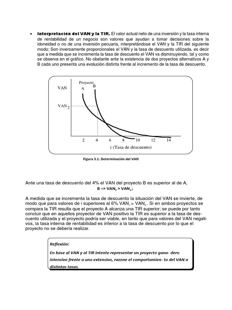 Interpretación Del VAN y La TIR | PDF | Valor presente neto | Economias