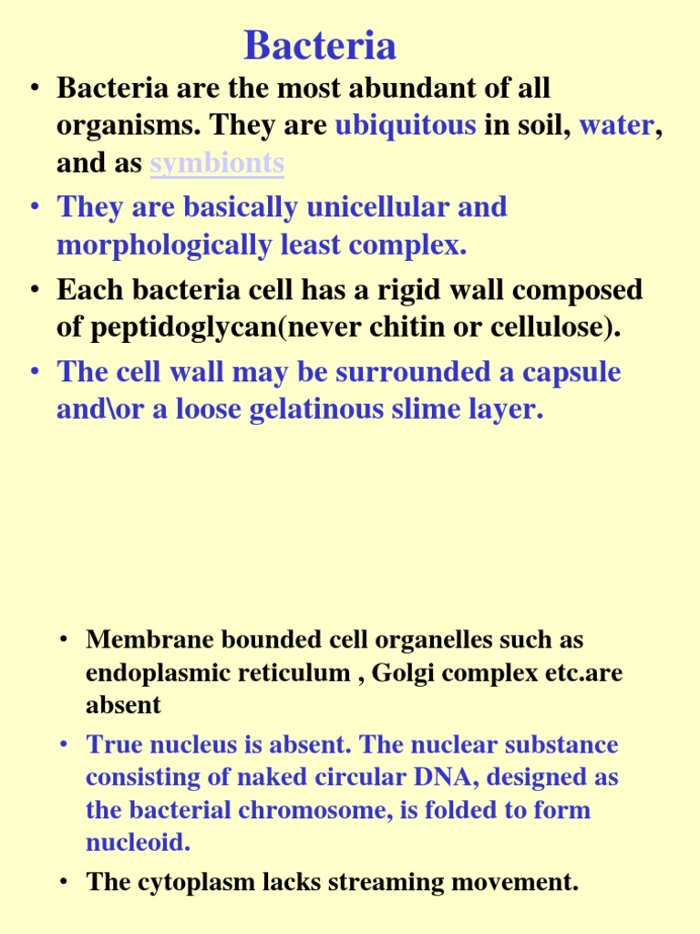 Bacteria Organisms They Are In Soil And As Pdf Bacteria Cell