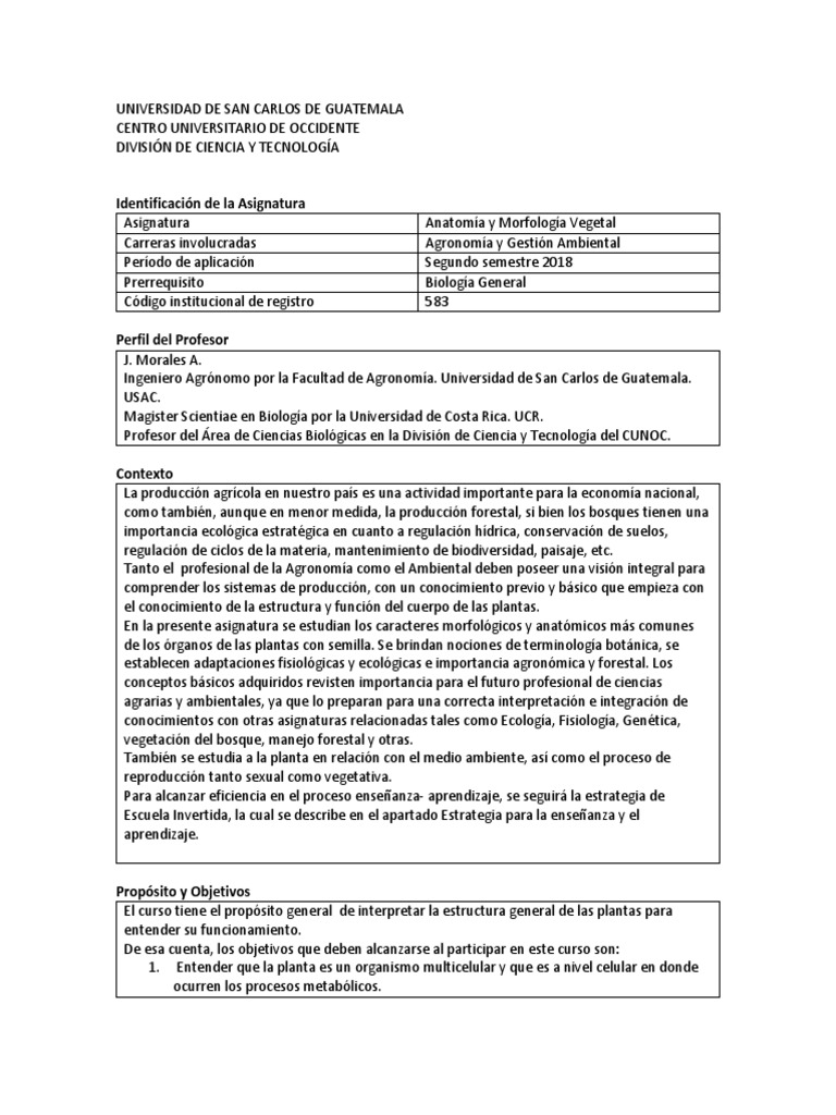 Anatomia y Morfologia Vegetal | PDF | Tallo de la planta | Hoja