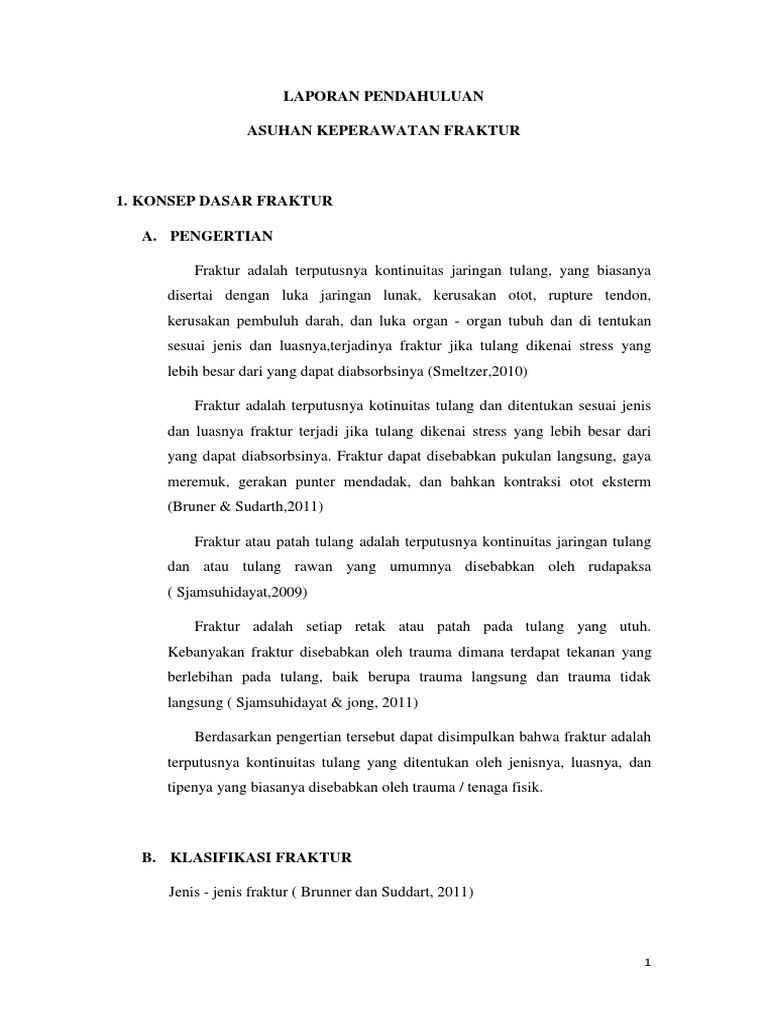 LP Fraktur Fix | PDF