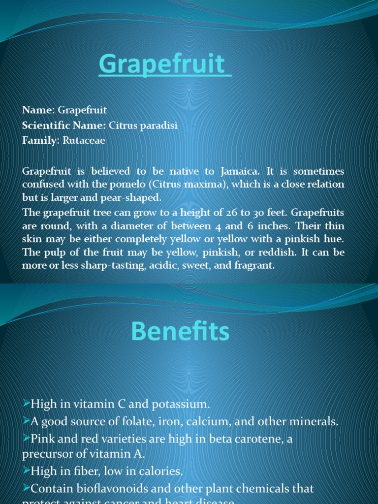 Grapefruit: Name: Grapefruit Scientific Name: Citrus Paradisi Family ...