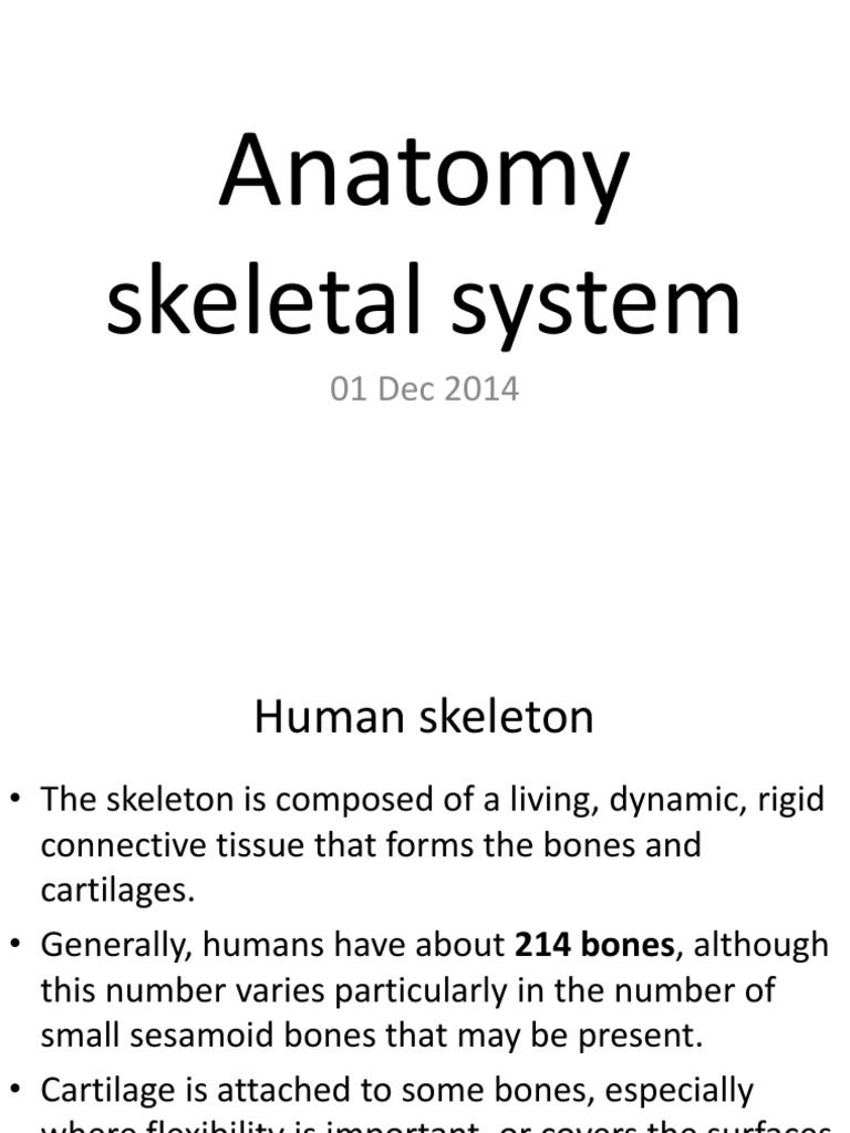Anatomy: Skeletal System | PDF | Skeleton | Bone