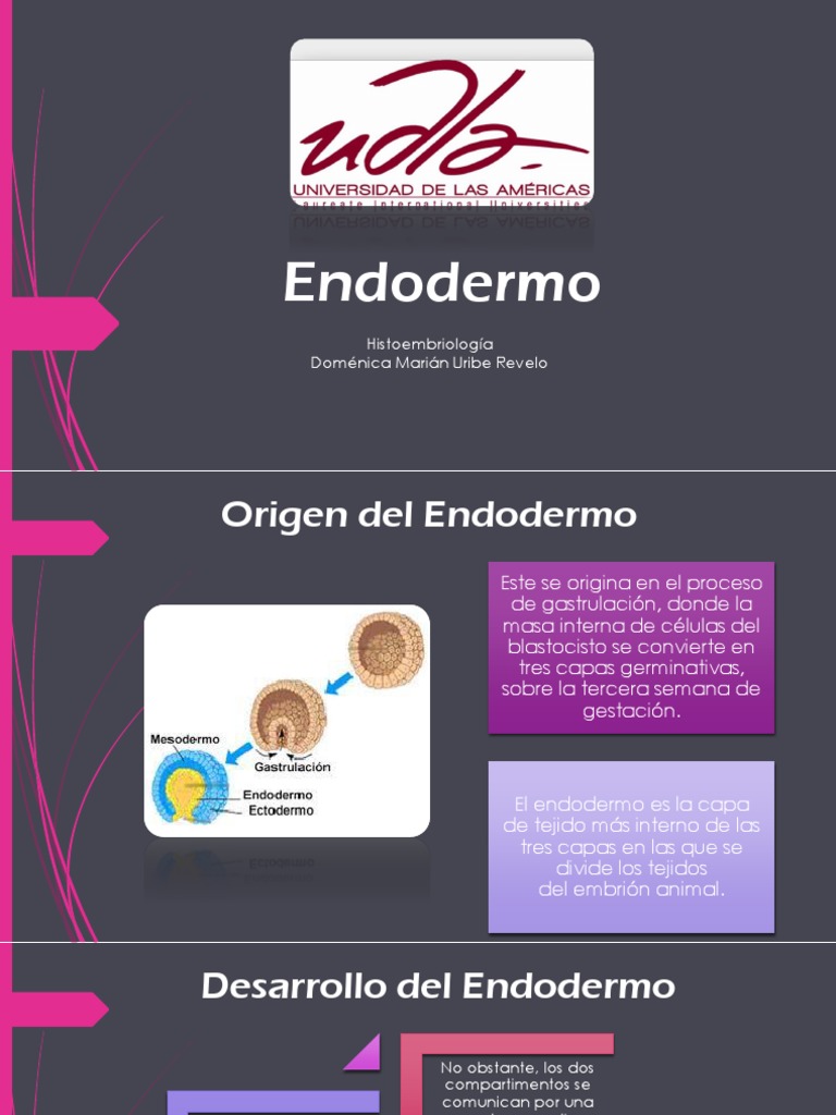 Endodermo | PDF | Biología del desarrollo | Biología
