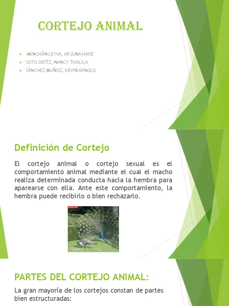 Cortejo Sexual en Animales | PDF | Aves | Organismos