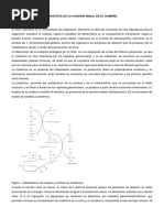 Inserto Spinreact Creatinina | PDF | Creatinina | Química