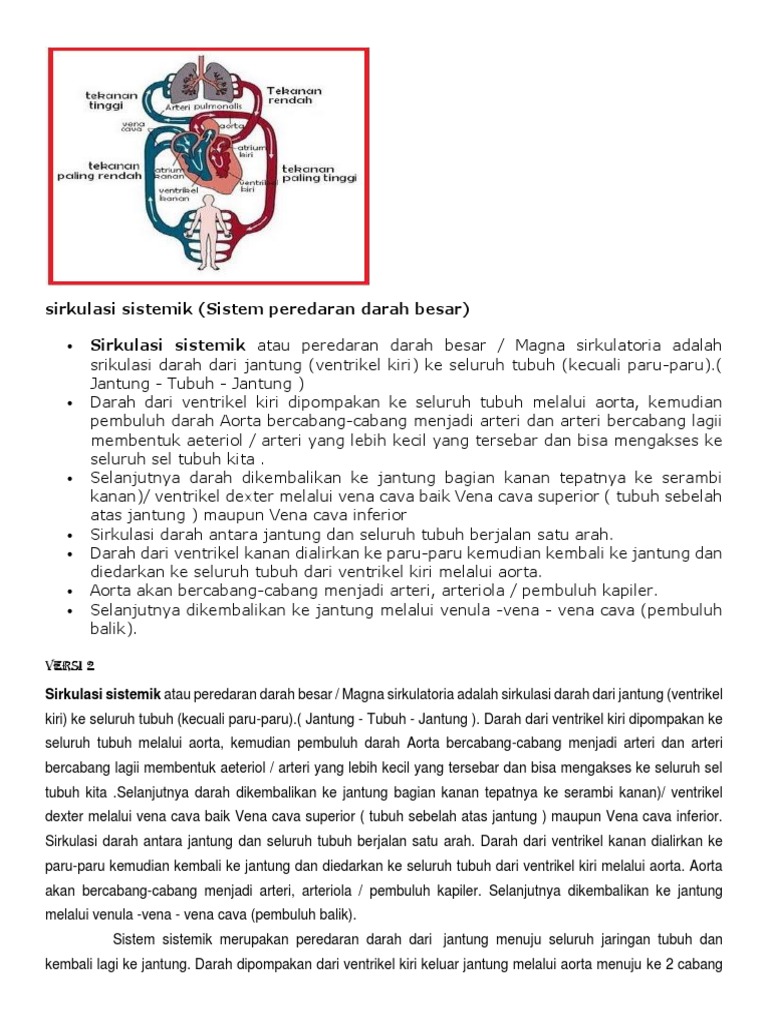 Sirkulasi Sistemik | PDF