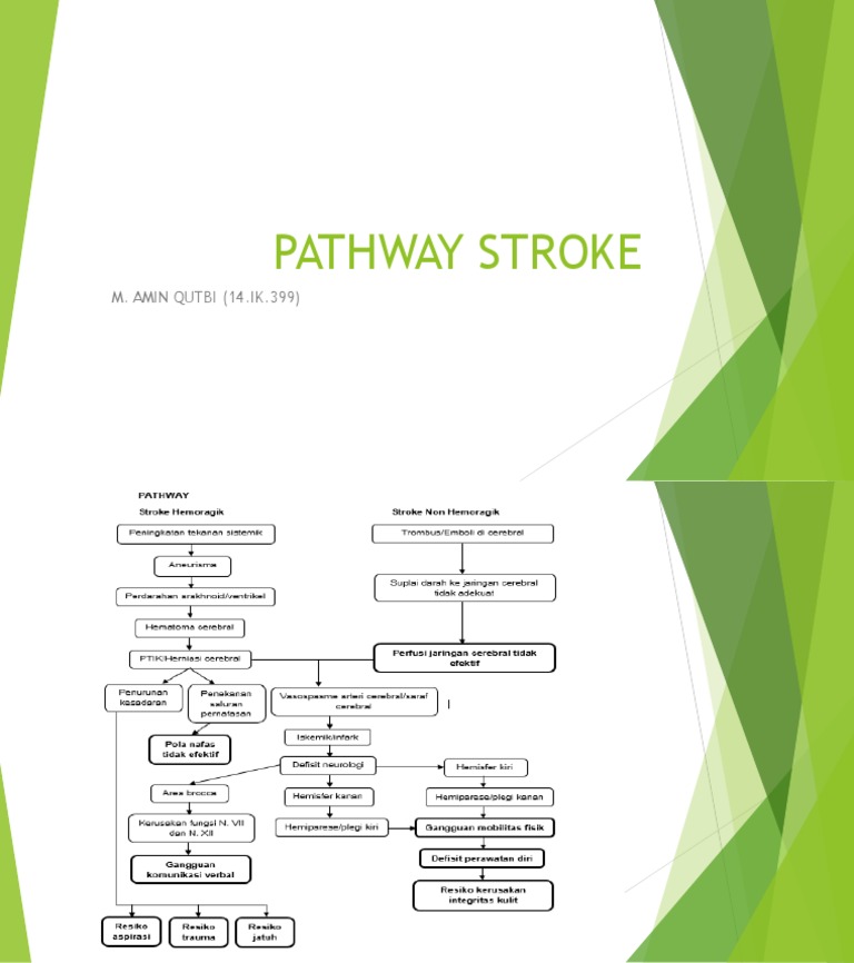 Pathway Stroke | PDF