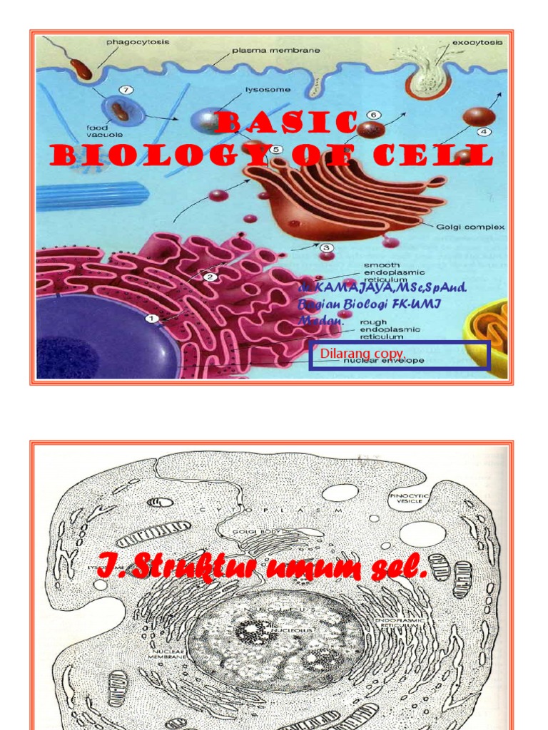 Basic Biology of Cell: Dr. Kamajaya, MSC, Spand. Bagian Biologi Fk-Umi ...