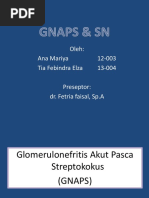 PPK Gnaps | PDF