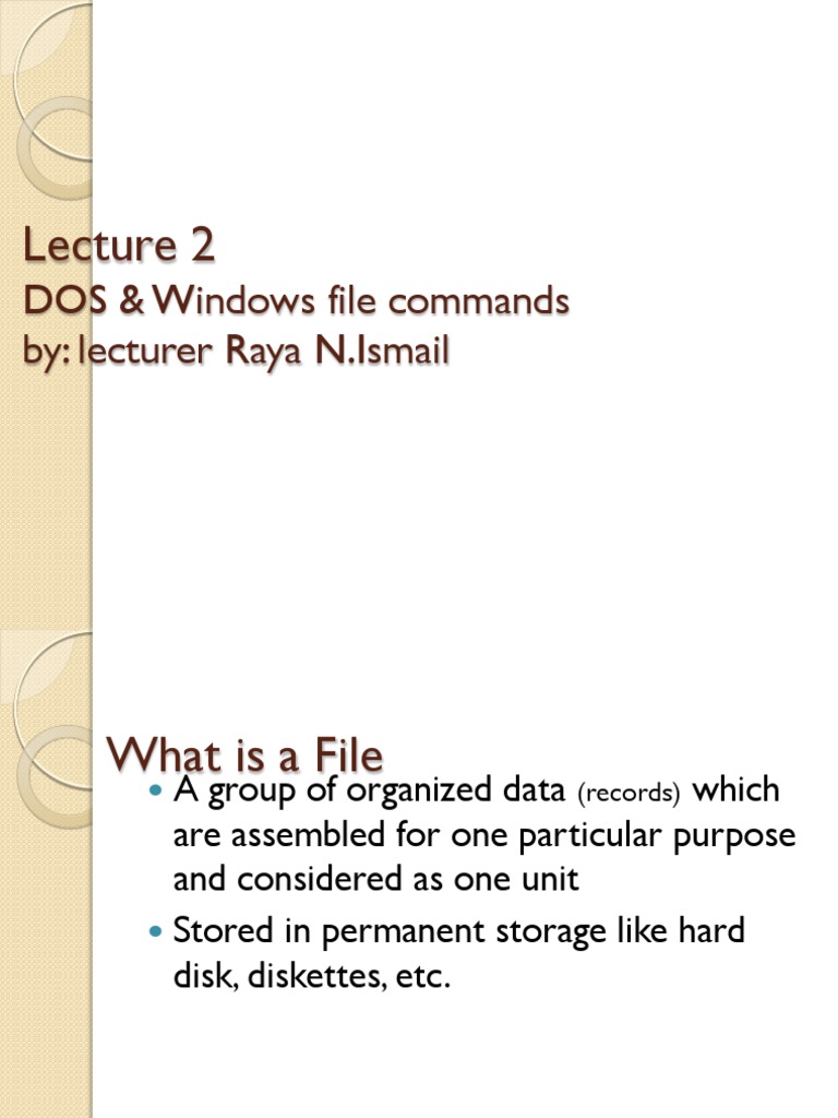 Win Dos | PDF | Filename | Computer File