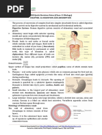 Splanchnopleure vs. Somatopleure Explained | PDF | Peritoneum ...