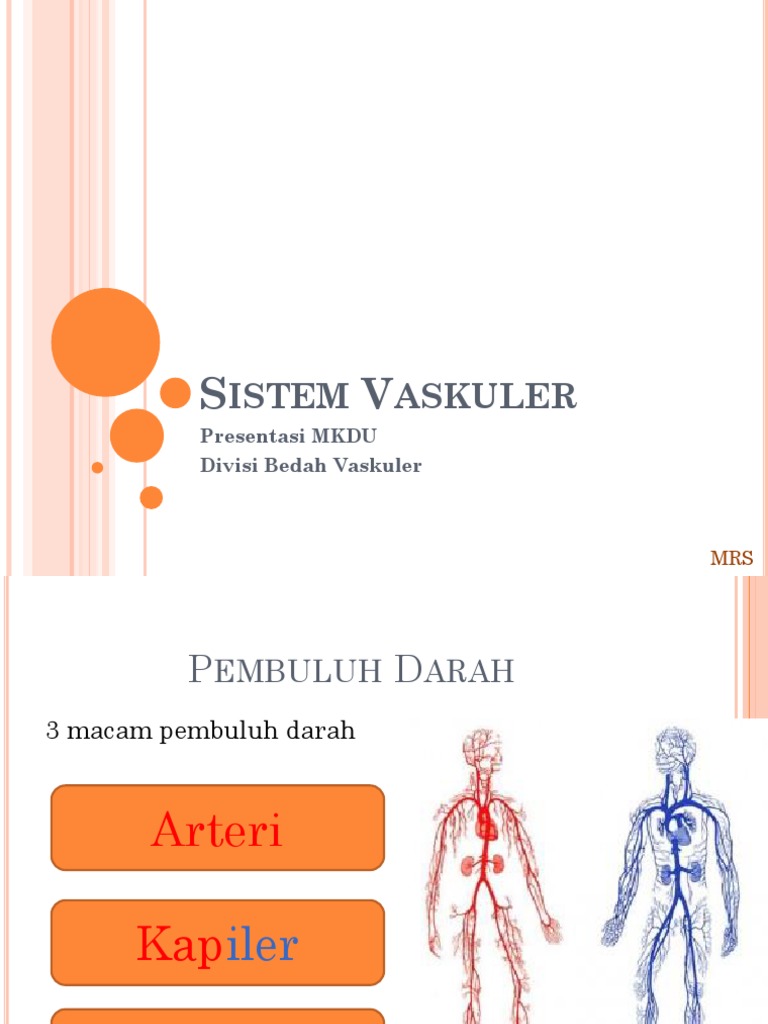 Sistem Vaskuler | PDF