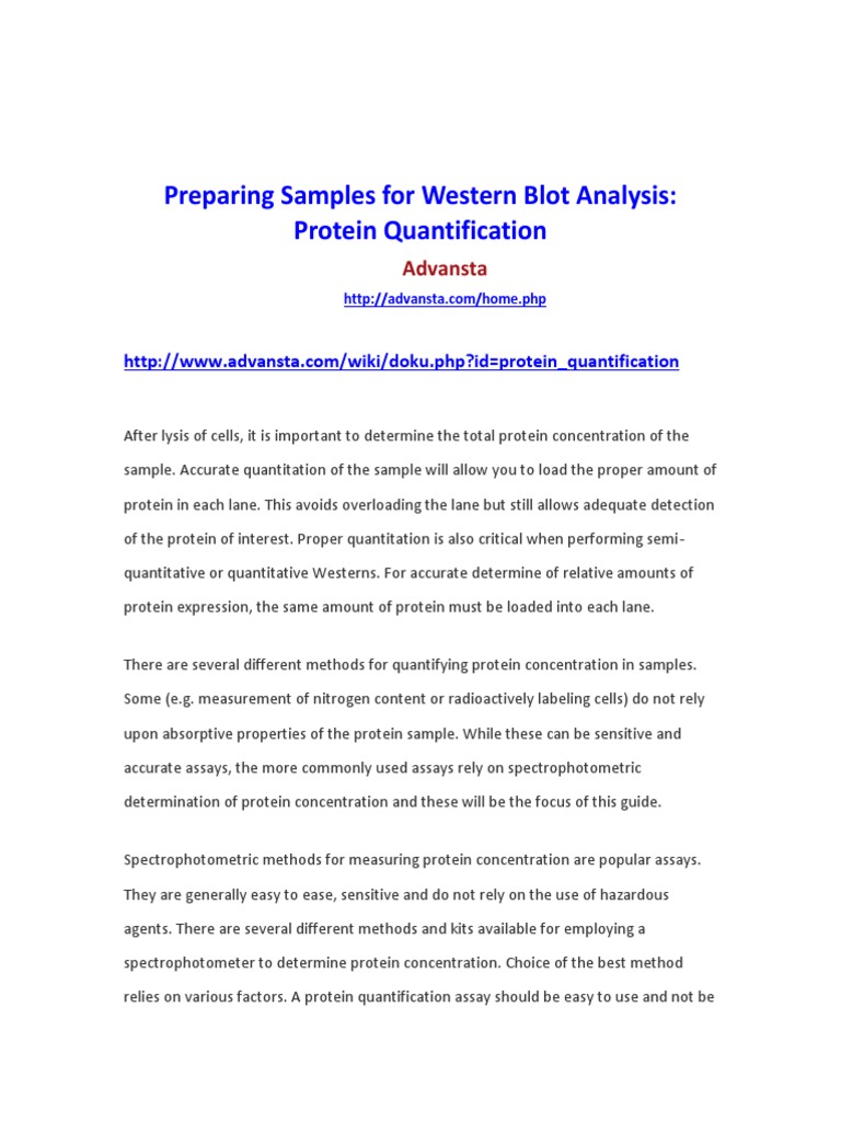 Preparing Samples For Western Blot Analysis: Protein Quantification ...