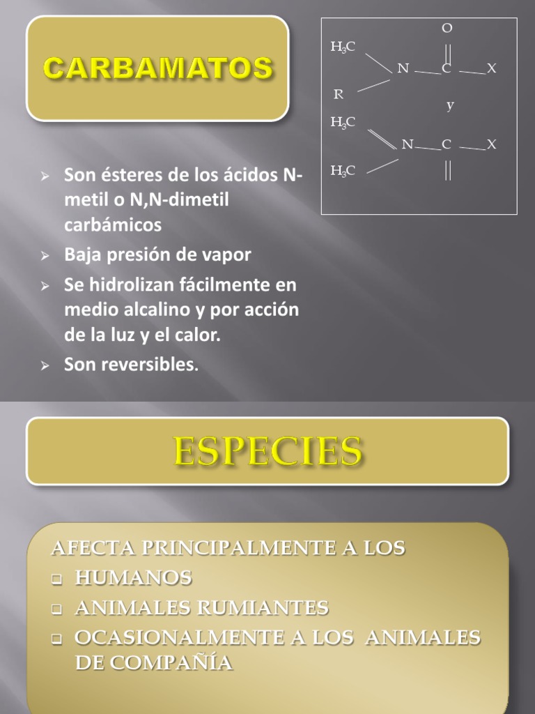 Intoxicación por Carbamatos: Síntomas y Tratamiento | PDF ...