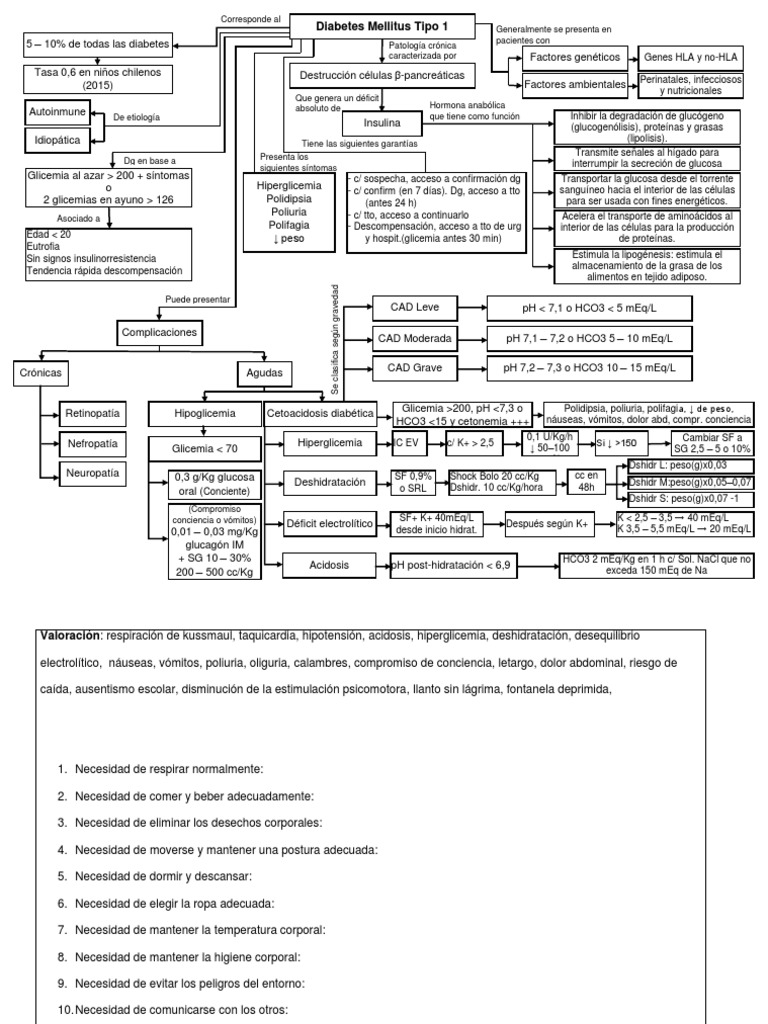 Mapa Conceptual DM1 Pediátrico | PDF | Diabetes mellitus tipo 1 ...