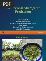 Find - S Algorithm | PDF | Machine Learning | Algorithms